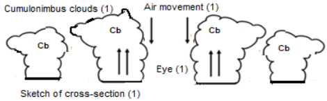 Tropical Cyclones gain all their energy from the water vapour ...