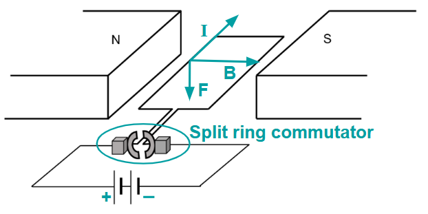 The split ring commutator is also circled. Therefore, the answer is ...